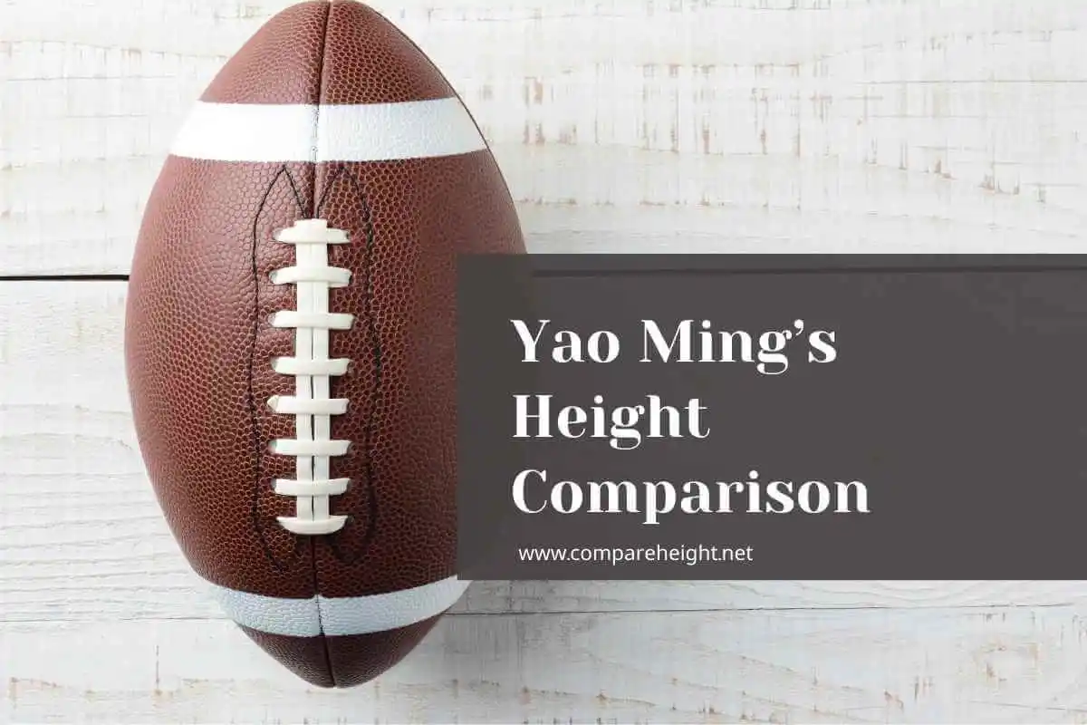 Yao Ming’s Height Comparison - CompareHeight.net