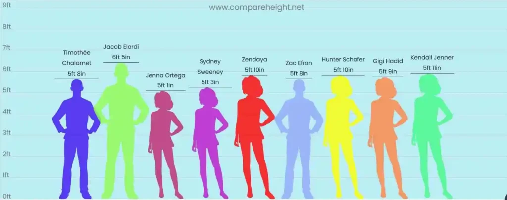 Zendaya’s Height – How Tall is She Really? (Updated 2026)