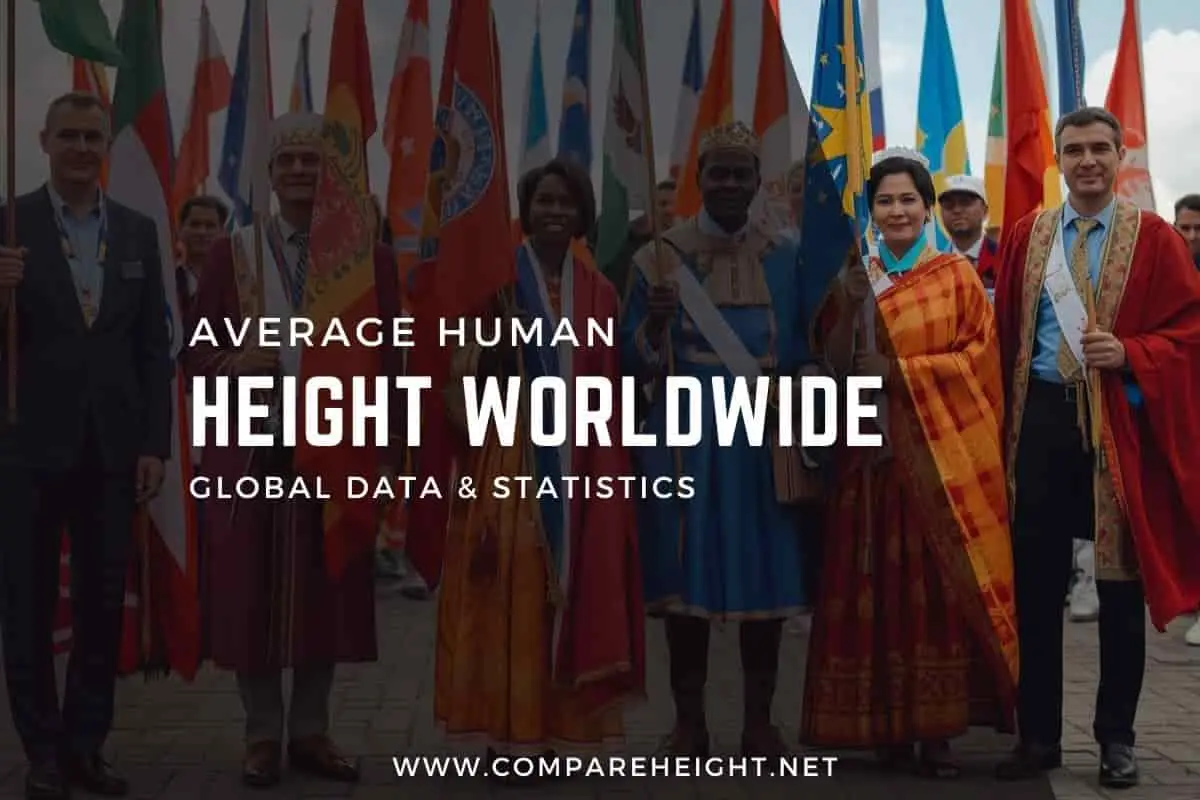 Average Human Height Worldwide (Updated 2026)