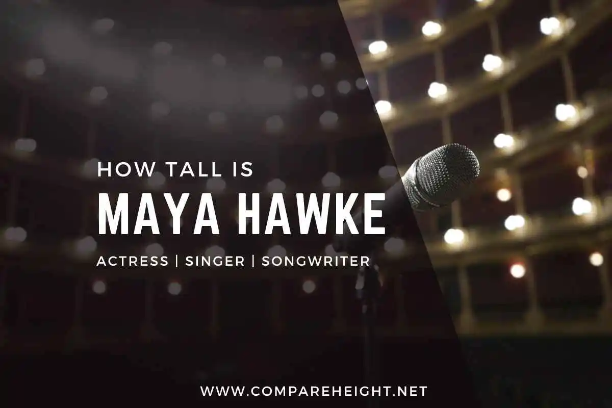 Maya Hawke's Height – How Tall Is She Really? (2026 Update)